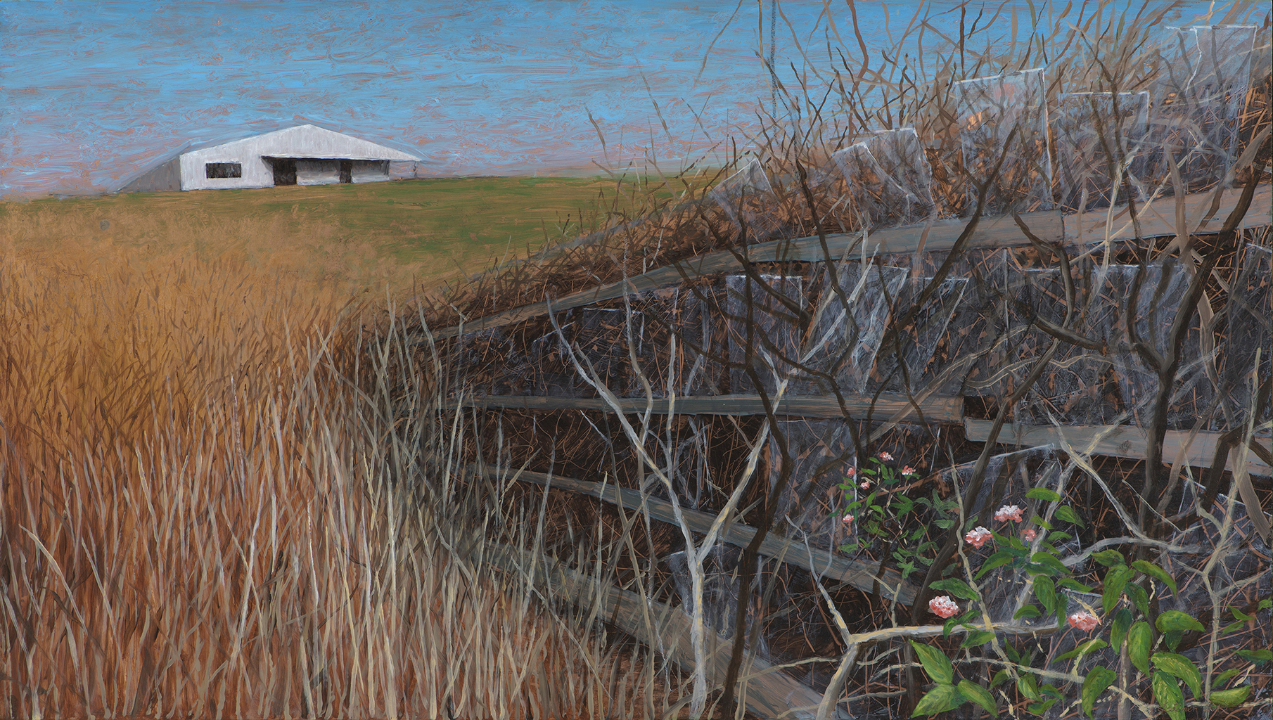 Bruce Latimer, artist